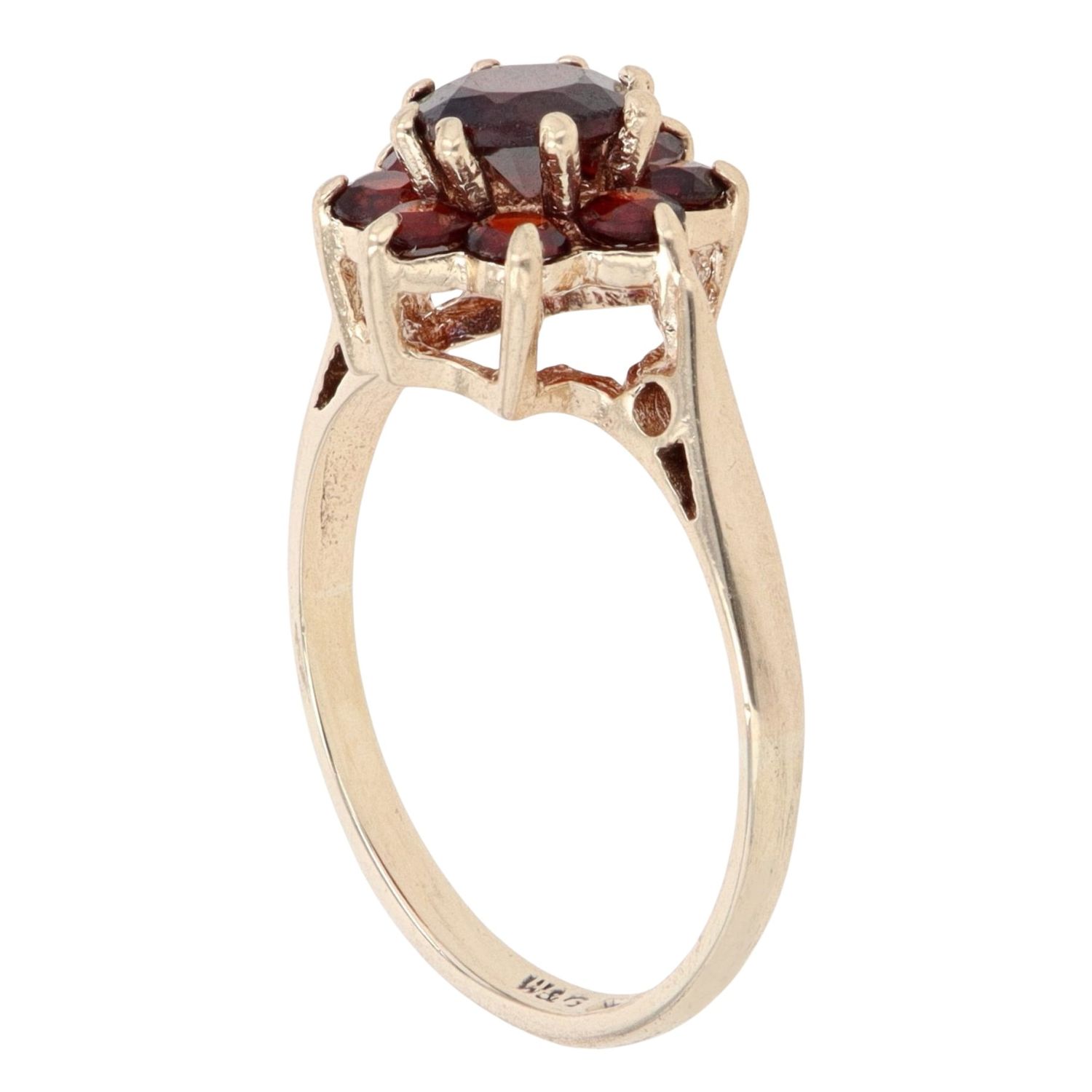 9ct Yellow Gold Garnet Cluster Ring RAMS865362519005 | Ramsdens Jewellery
